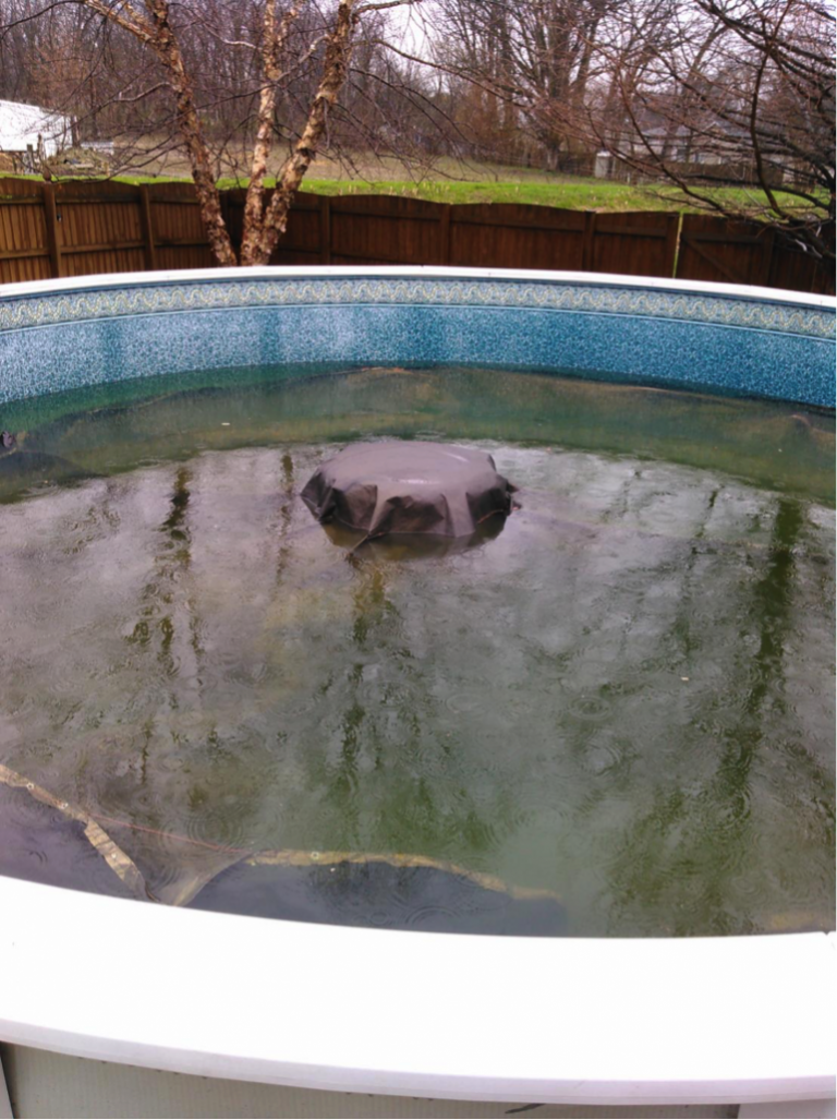 Swimming Pool Damaged by Fallen Tree